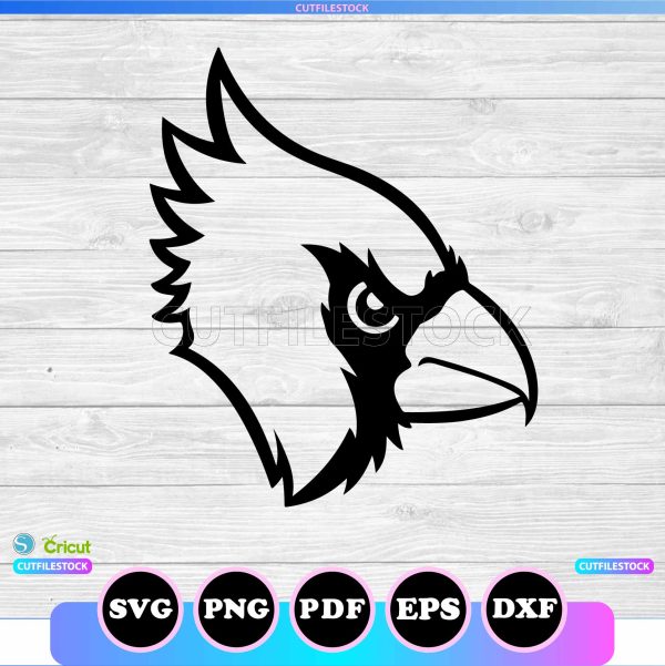 Cardinal Head Svg, Png, Dxf, Eps, Cricut, Cardinal Bird Svg Outline